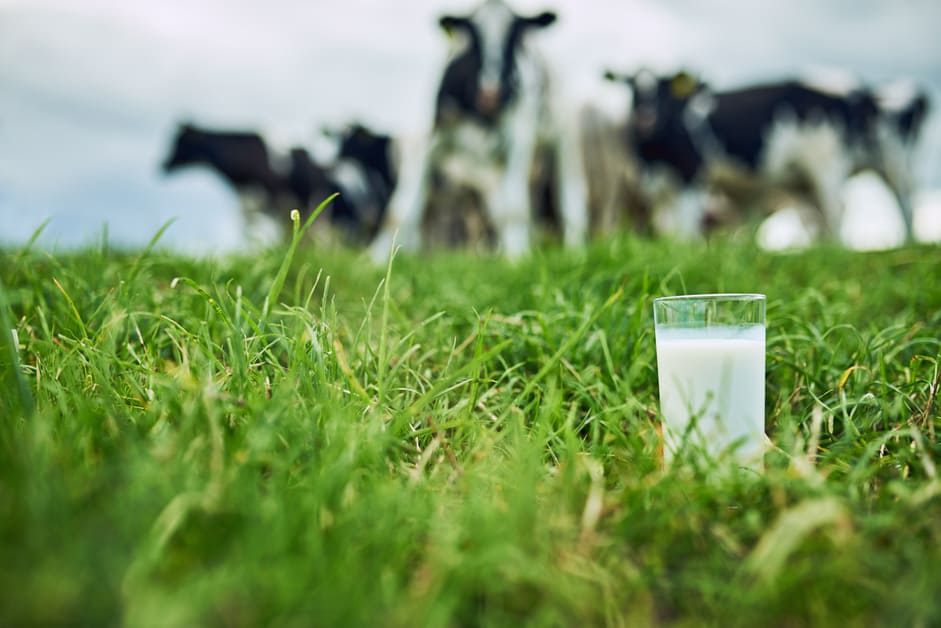 Milk Prices In The European Union milk-prices-in-the-european-union